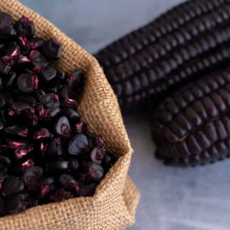 25 Frutas Moradas (con fotos) – That Start With Recipes