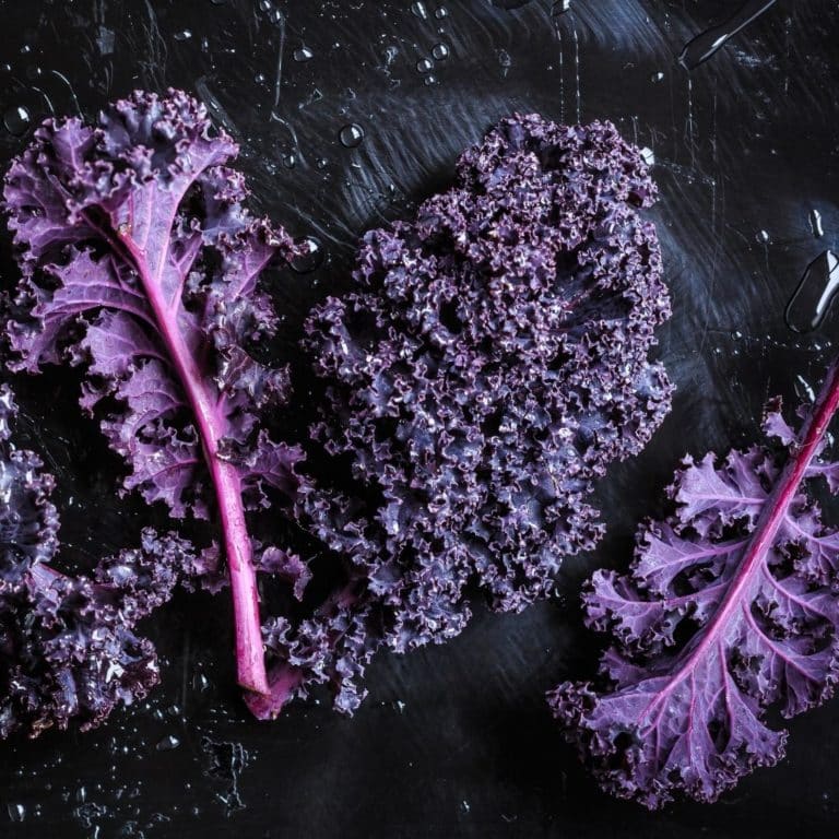 33 Purple Fruits & Vegetables – That Start With Recipes