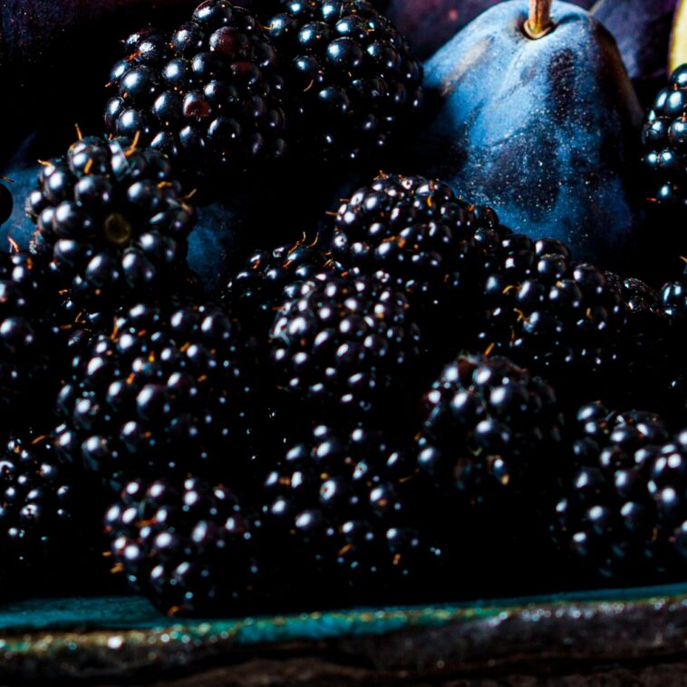 25 Black Colored Snacks That Are Tasty & Healthy – That Start With Recipes