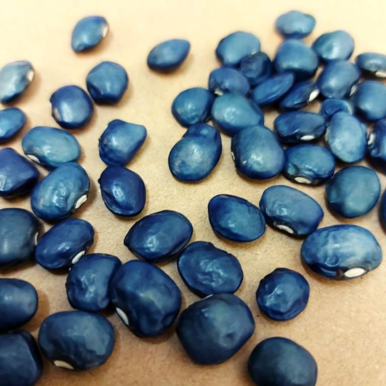 Blue Fruits and Vegetables: 21 Naturally Blue Foods – That Start With ...