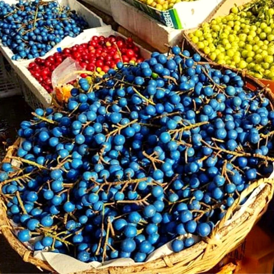 14 Frutas Azules (Lista) – That Start With Recipes