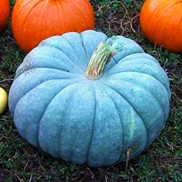 14 Frutas Azules (Lista) – That Start With Recipes