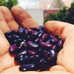 33 Purple Fruits & Vegetables – That Start With Recipes