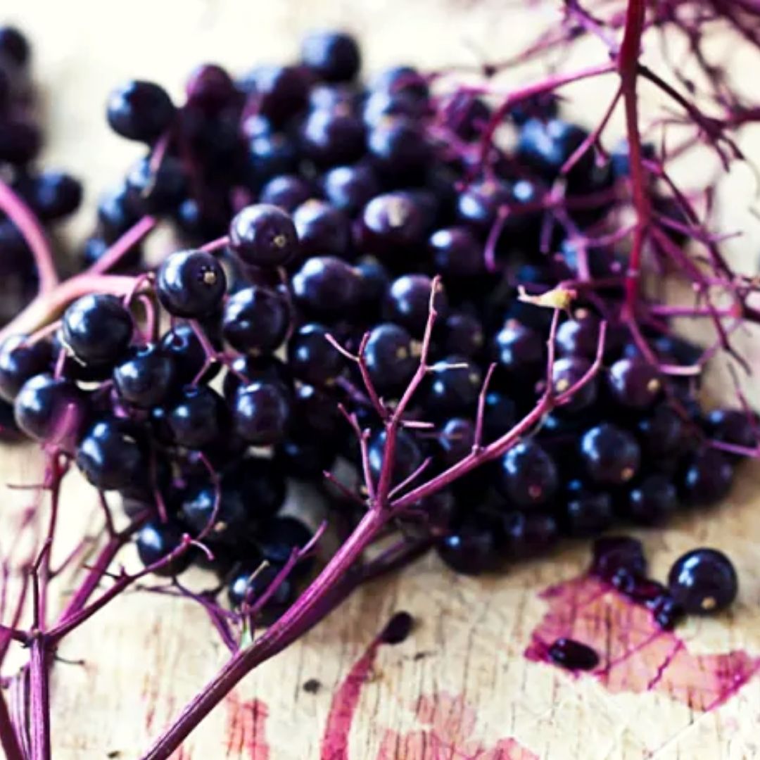 25 Frutas Moradas (con fotos) – That Start With Recipes