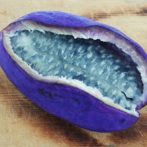 25 Frutas Moradas (con fotos) – That Start With Recipes