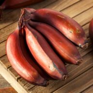 27 Frutas Con R (¡Con Fotos!) – That Start With Recipes