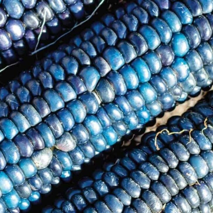 30 Blue Food Items: A List of Naturally Blue Foods – That Start With ...