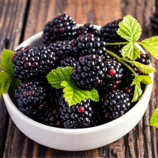 60+ Black Colored Foods: Naturally Black Food – That Start With Recipes