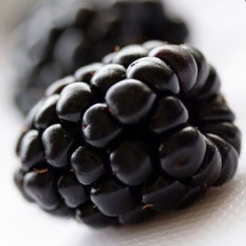 Blue Fruits and Vegetables: 21 Naturally Blue Foods – That Start With ...