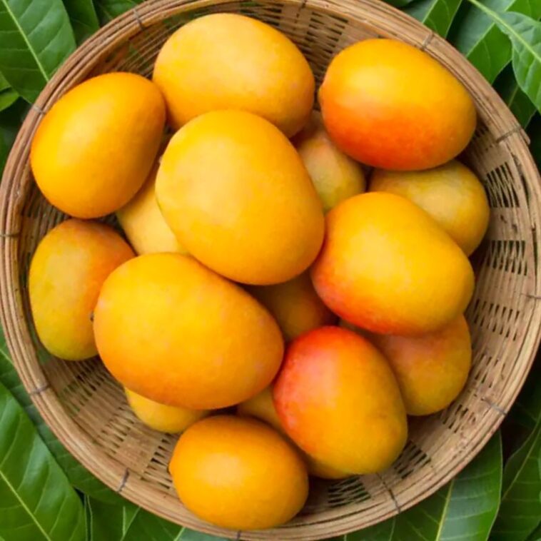 38 Fruits That Start With I – That Start With Recipes