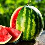 48 Comida Con R – That Start With Recipes