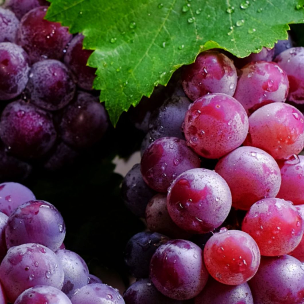 48 Comida Con R – That Start With Recipes